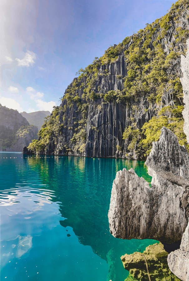 Barracuda Lake in Coron, Palawan, Philippines Stock Photo - Image of ...