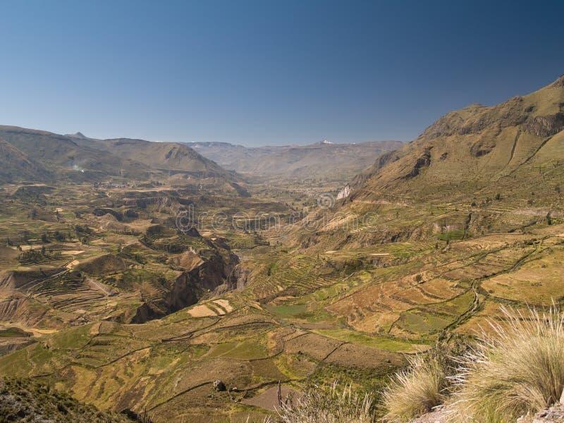 Barranca de Colca en Perú foto de archivo. Imagen de rugoso - 3864512