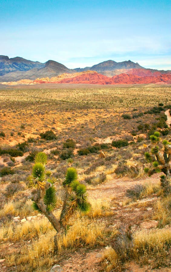Barranca Roja De La Roca, Nevada Foto de archivo - Imagen de barrancas ...