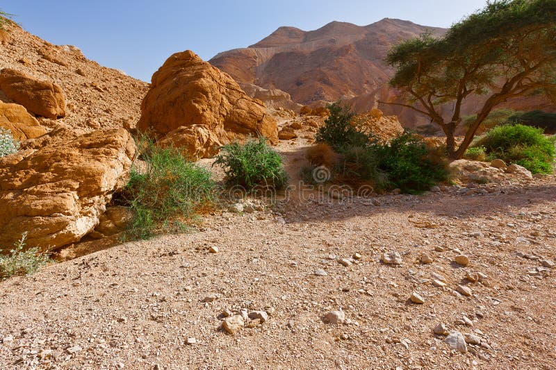 Barranco foto de archivo. Imagen de rocoso, suciedad - 37613826