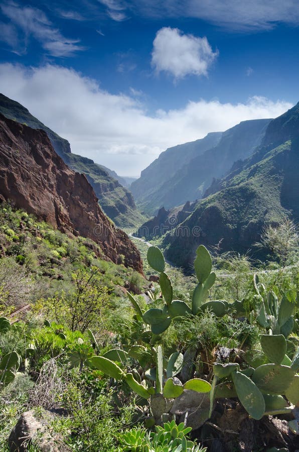 Barranco DE Guayadeque, Gran Canaria, Spanje Stock Afbeelding - Image ...