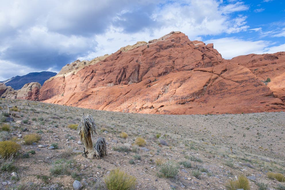 Barranco Rojo De La Roca, Nevada. Foto de archivo - Imagen de roca ...