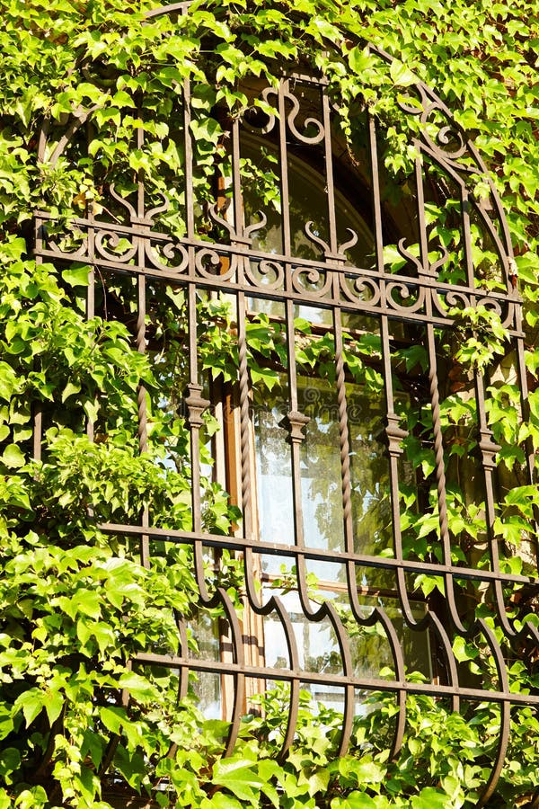 Barred window stock photo. Image of classic, large, home - 31481830