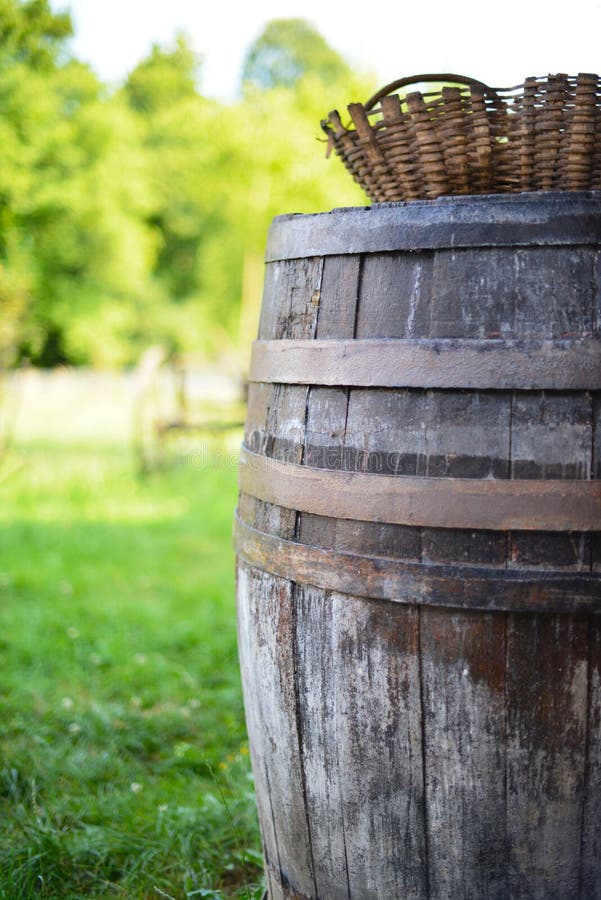 Barrel stock photo. Image of rust, rustic, life, heavy - 32563730