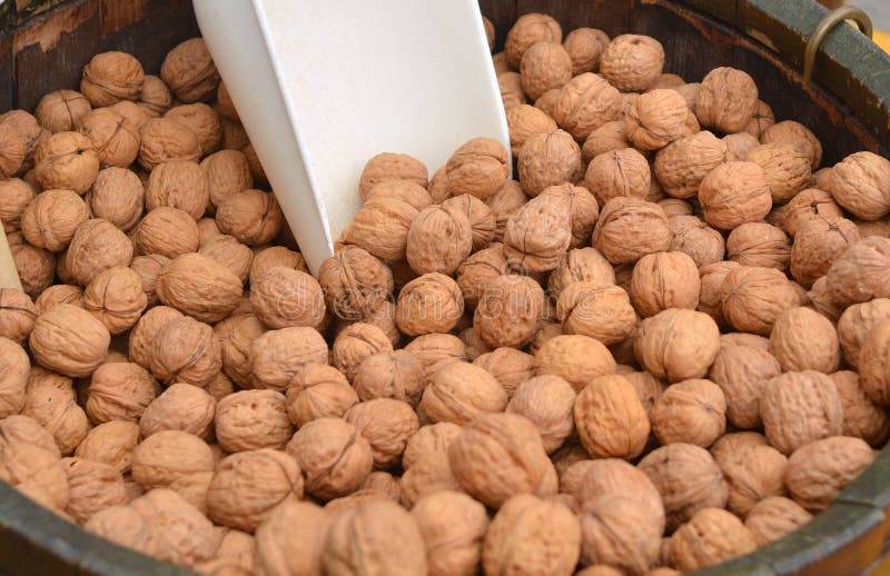 Background of a Barrel Full of Walnuts Stock Image - Image of macro ...