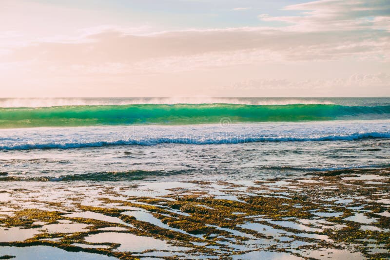 Barrel Green Wave at Sunset. Ocean Waves and Reef in Bali Stock Image ...