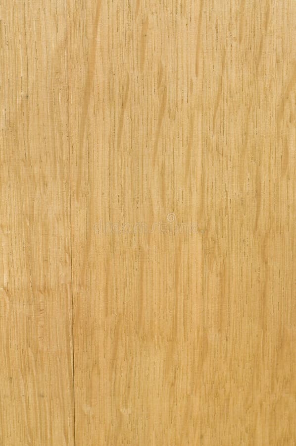 Barrel Oak Texture stock photo. Image of timber, barrel - 16783464