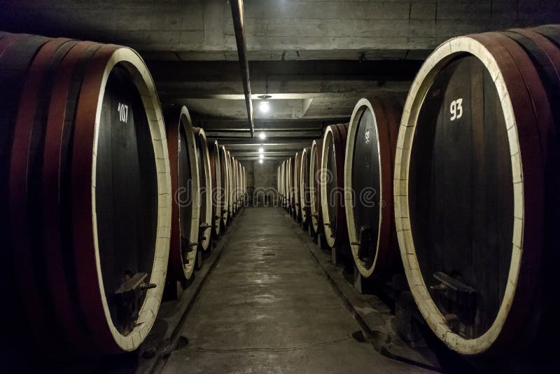 Barrel rows in a winery stock image. Image of drink, store - 99048187