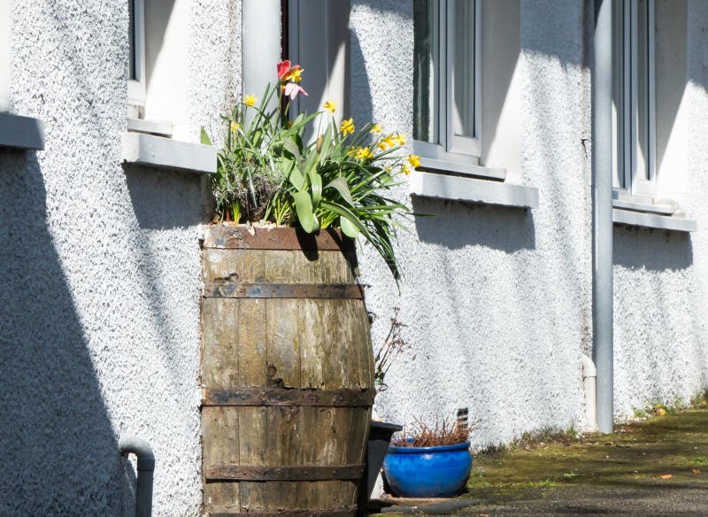 Barrel in the wall stock image. Image of decoration, barrel - 52711165