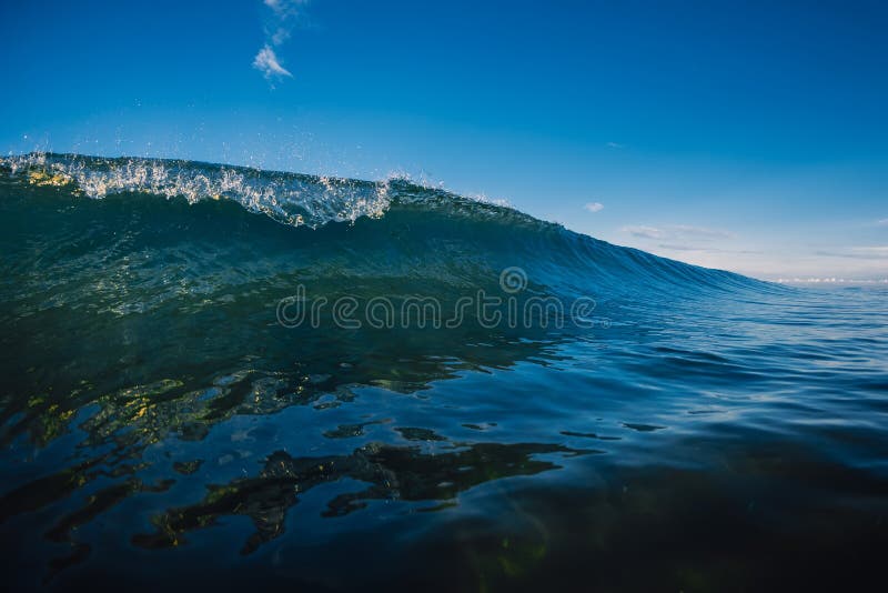 Barrel Wave in Sea with Sunrise Tones and Beach at Background Stock ...