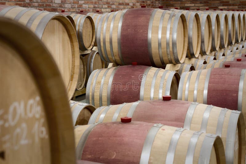 Barrels stock image. Image of basement, glass, luxury - 26699539