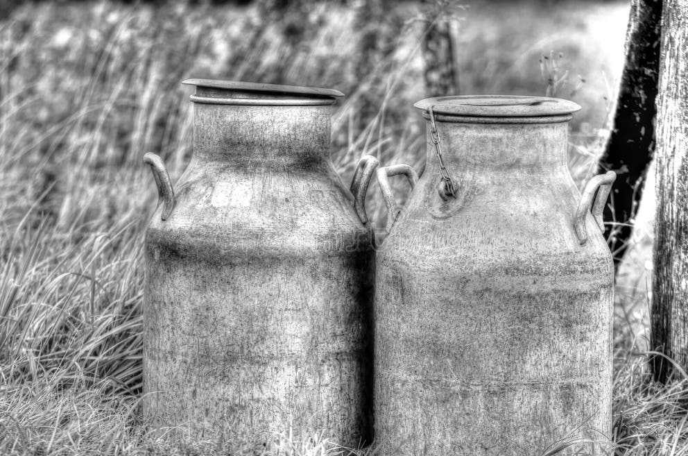 Barrels of milk stock photo. Image of country, farm, barrel - 26047514