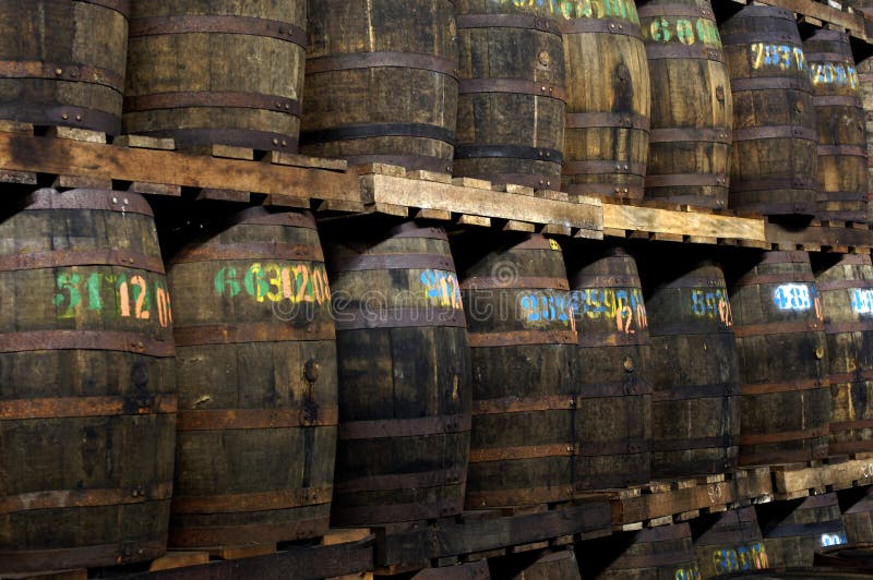 Barrels of old rum stock photo. Image of outdoors, grape - 8706054