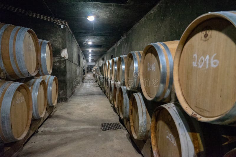 Inside the Cellar of the Roman Amphitheater Stock Image - Image of ...