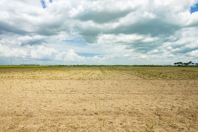 Barren Field And Windwheels Stock Image - Image of turbine, wheel: 42163803
