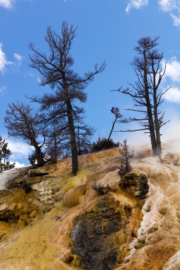 Barren Cliffs of Mammoth Hot Springs Stock Image - Image of mammoth ...