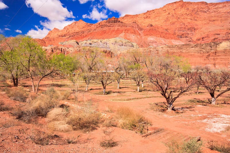 Barren Desert Landscape Situated on the Edge of a Steep Cliff, Shrouded ...