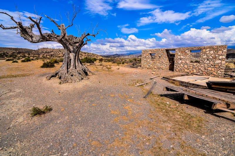 A Barren Desert Landscape with a Large Tree and a Stone Building Stock ...