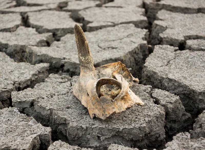 Barren Earth stock photo. Image of erosion, face, barren - 18949196