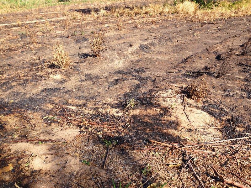 Barren Field or Landscape Closeup because of the New Farm Bill and MSP ...