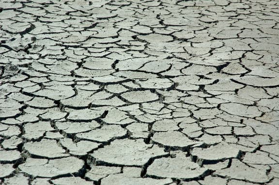 37,160 Barren Ground Stock Photos - Free & Royalty-Free Stock Photos ...