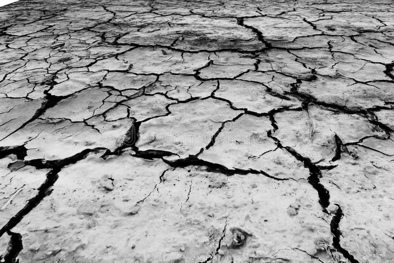 Barren ground. stock image. Image of nature, black, close - 64654789