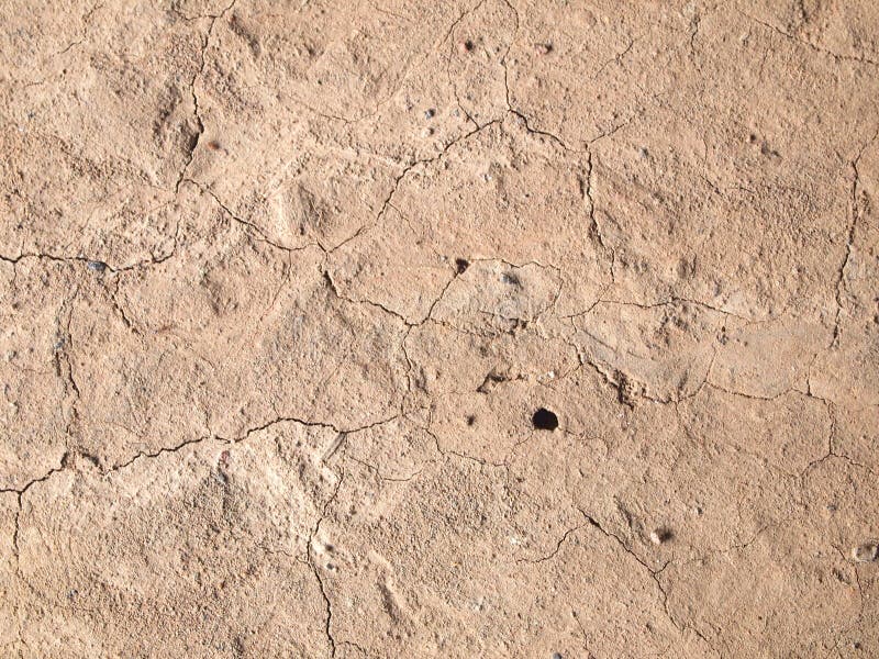 Barren Ground Stock Images - Download 16,393 Royalty Free Photos