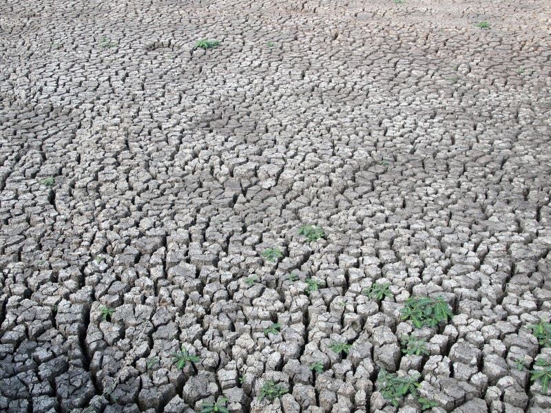 Barren ground horizontal stock photo. Image of dryness - 158324780