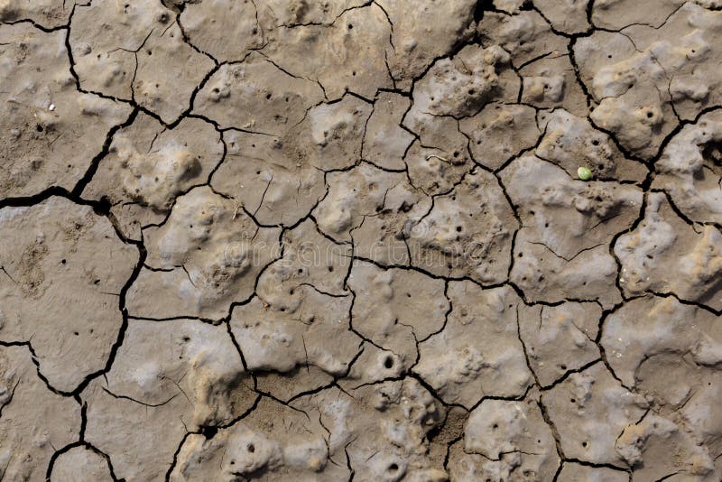 Barren Land stock photo. Image of abandoned, soil, cracked - 84552102