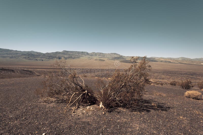 Barren land like Mars stock photo. Image of remote, death - 39599872
