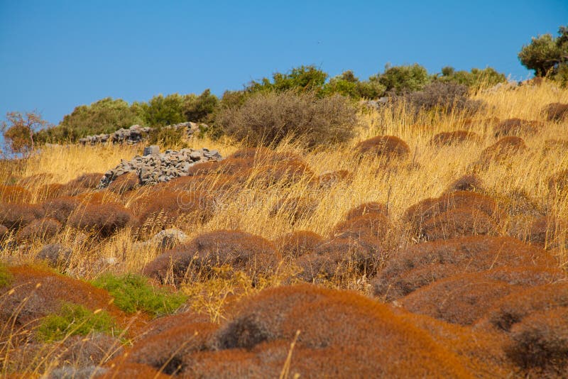Barren landscape stock photo. Image of contrast, landscape - 22393336