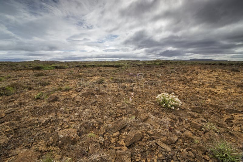 Barren landscape stock photo. Image of reykjanesskagi - 58027562