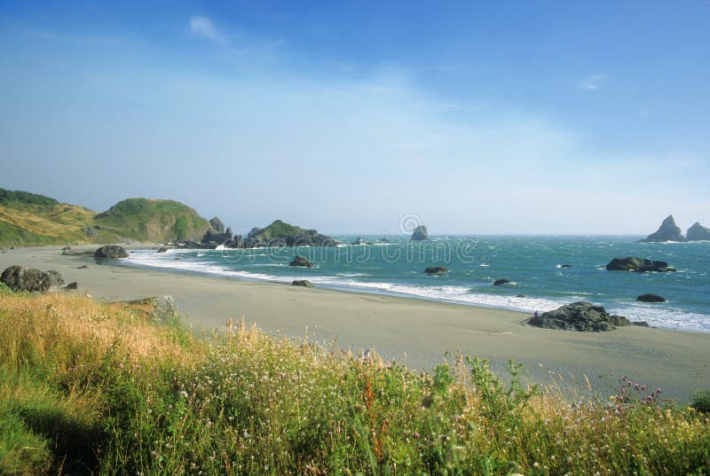 Barren Oregon beach stock image. Image of serenity, northwest - 13182001