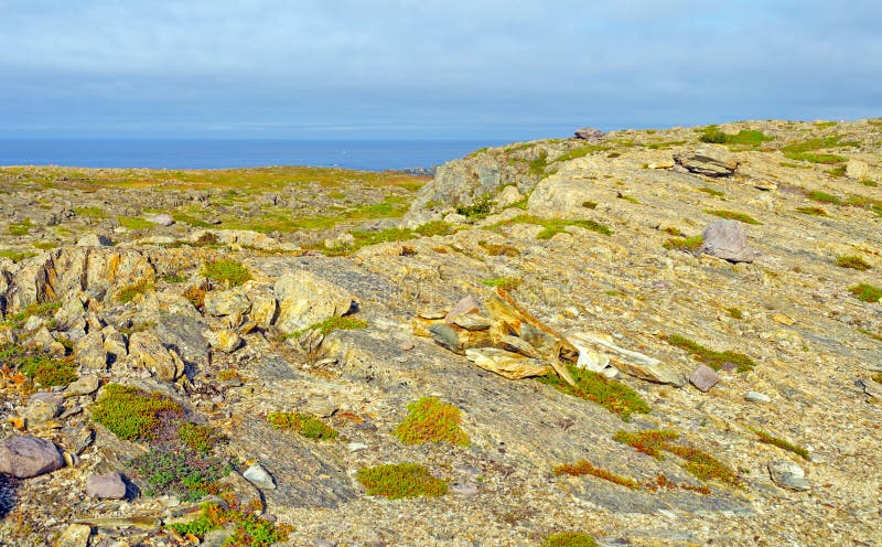 Barren Rock on the Atlantic Coast Stock Image - Image of natural ...