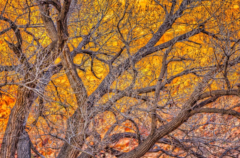 Colorado River in Utah stock photo. Image of utah, desert - 39336728