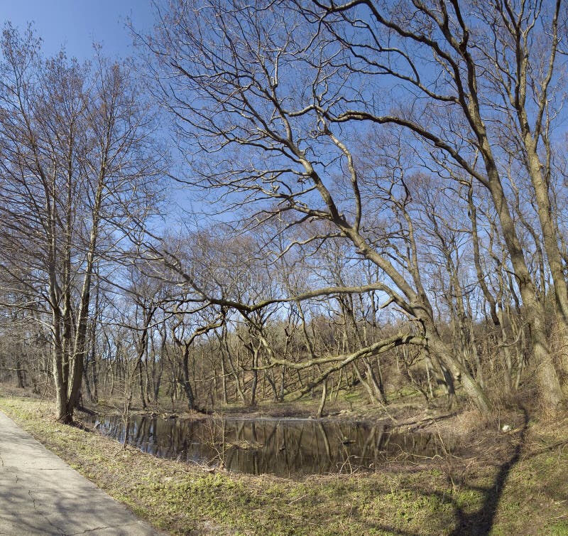 Royalty Free Stock Photos and Images