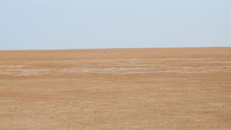 Barren stock photo. Image of wilderness, ecosystem, shelf - 63605200