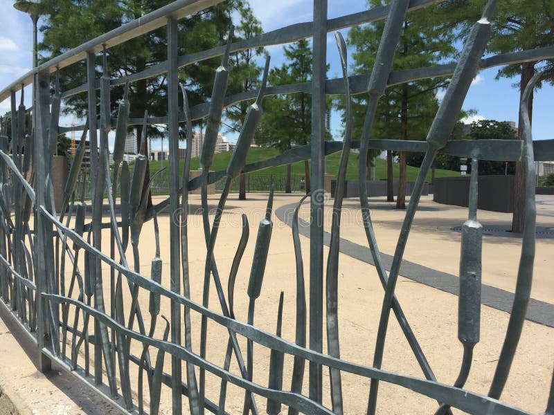 Cattails photo stock. Image du étang, jonc, marais, marécages - 12146366