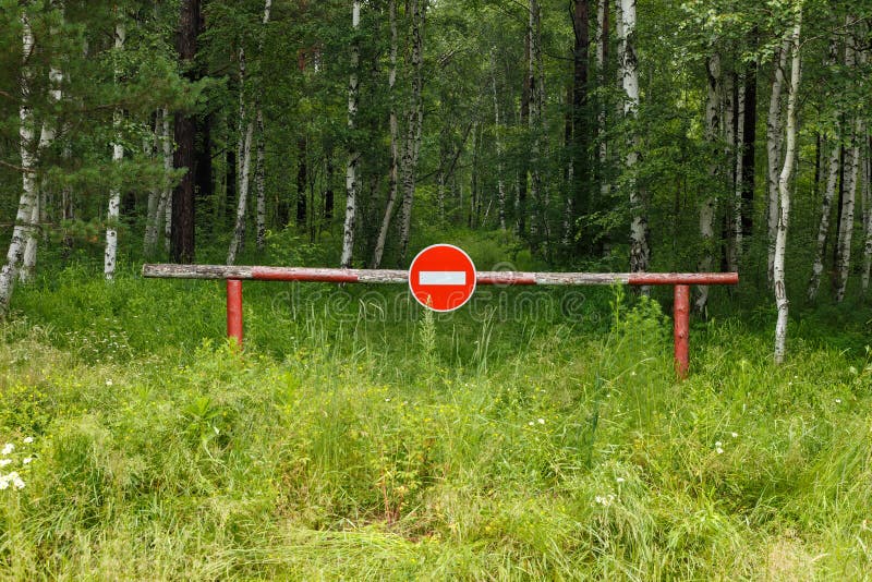 Barrier in the forest stock photo. Image of rural, security - 230562444