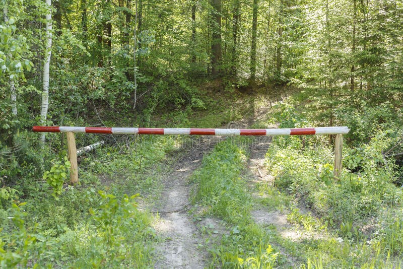 Barrier in the forest stock photo. Image of rural, security - 230562444