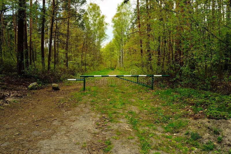 The Barrier on the Forest Road Prohibits Entry. Forest. Day Stock Photo ...