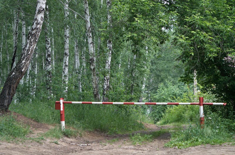 Barrier in the forest stock photo. Image of outdoor, environmental ...