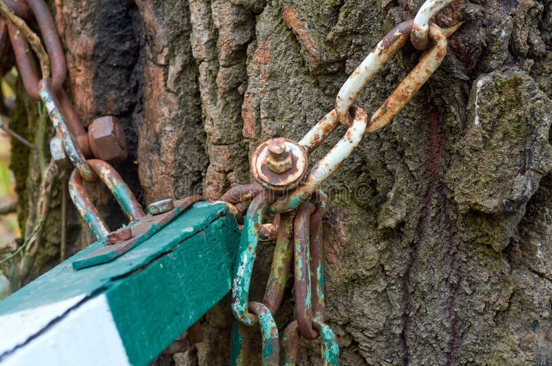 The Barrier is Tied To a Tree with a Chain Stock Photo - Image of lock ...