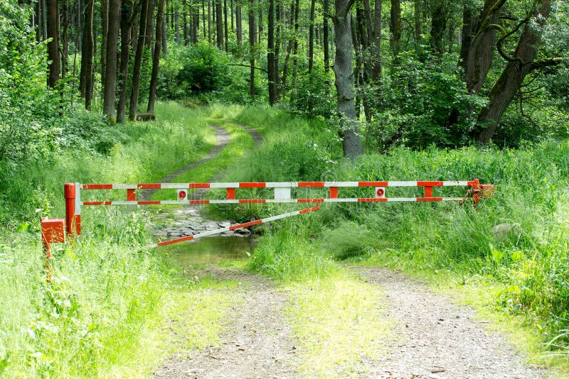 Barrier Gate with Forest Background Usage Stock Image - Image of farm ...