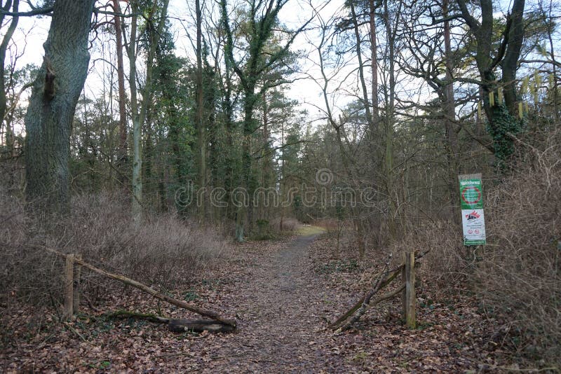 A Barrier Made of Branches on a Path in the Forest. Berlin, Germany ...