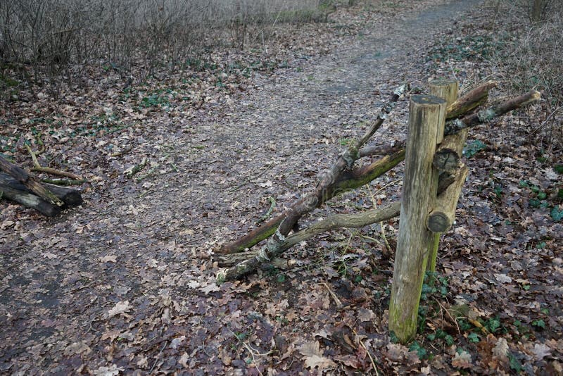 A Barrier Made of Branches on a Path in the Forest. Berlin, Germany ...