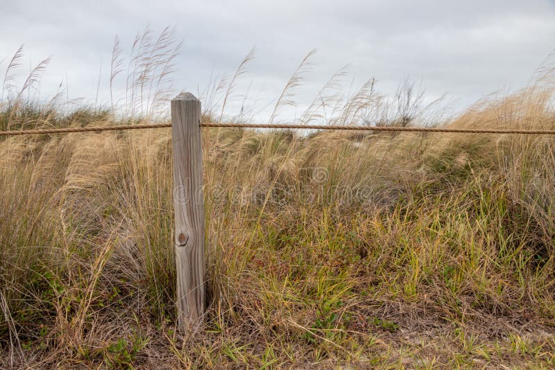 Barrier from the Sand Dunes Stock Photo - Image of protection, coastal ...