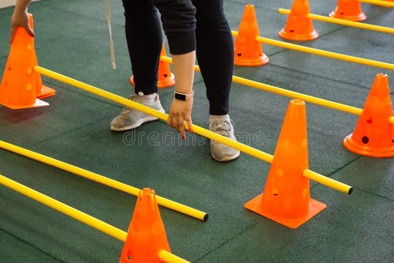 Barrier for Training and Agility for Dogs Stock Photo - Image of ...