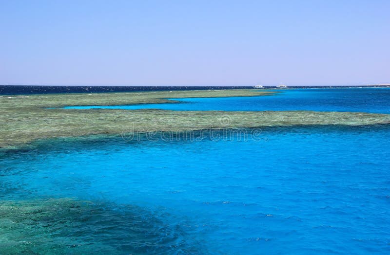 Barriera Corallina Nel Mar Rosso, Egitto. Immagine Stock - Immagine di ...