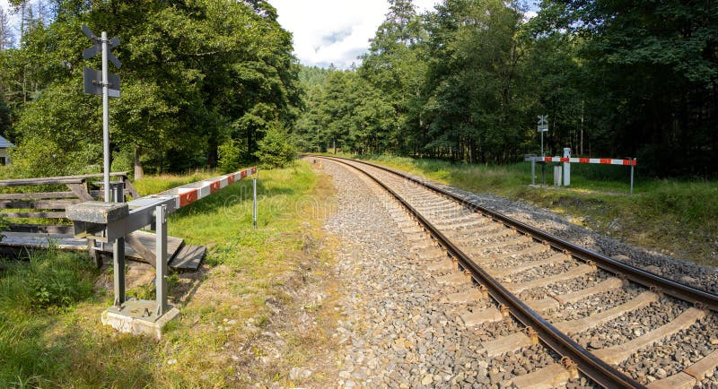 Barriers on a Forest Path that Crosses the Track Stock Image - Image of ...